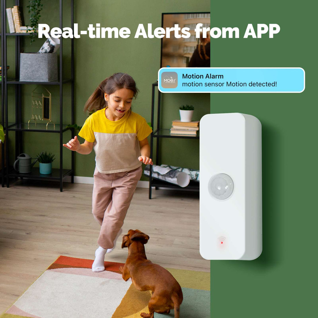Smart PIR Sensor Human Body Motion Detector Home Security and Scene ...